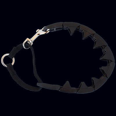 STARMARK Pro-Training COLLAR® - Pleasant Hill, CA - Concord, CA ...